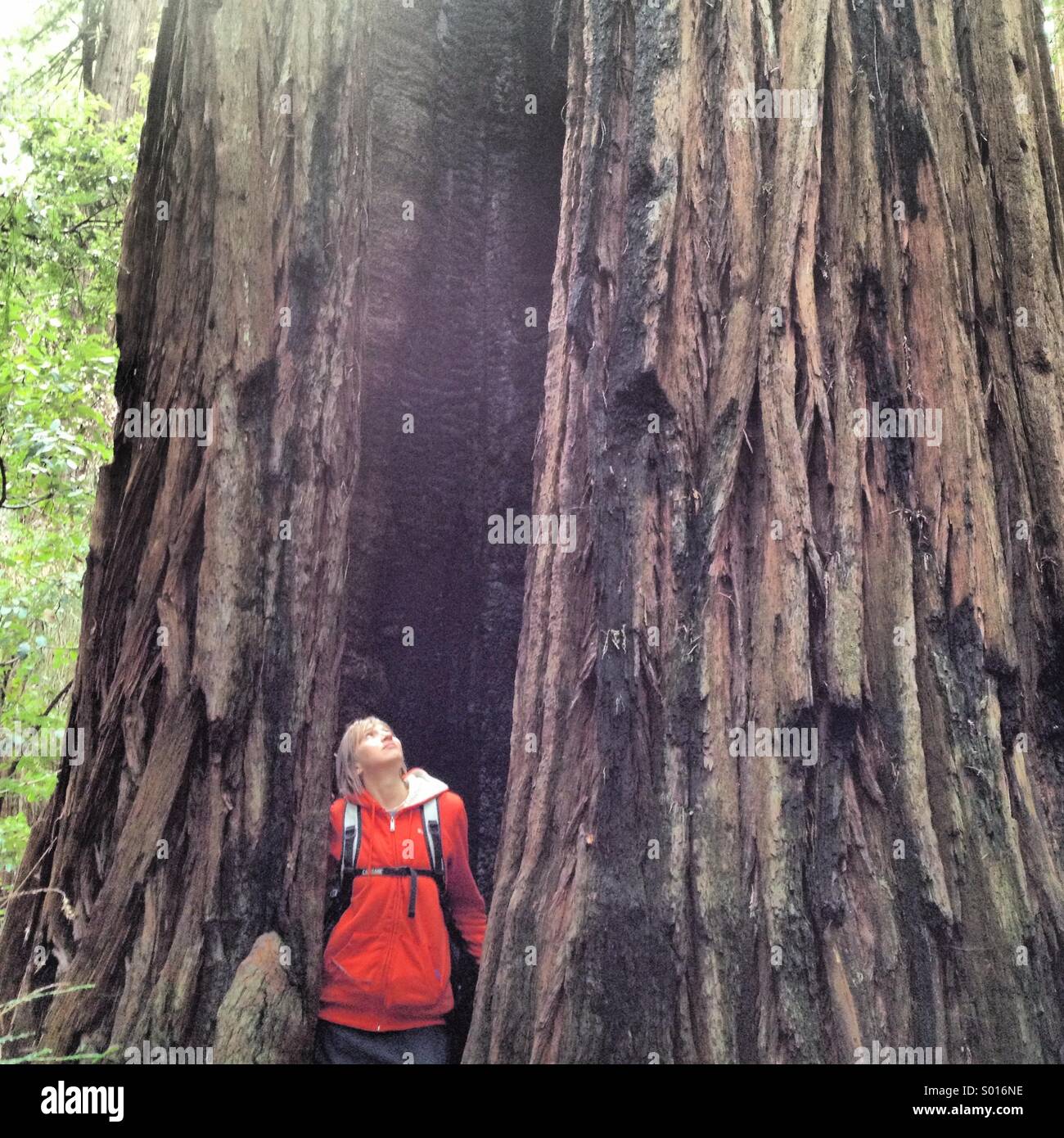 Fire scar hi-res stock photography and images - Alamy