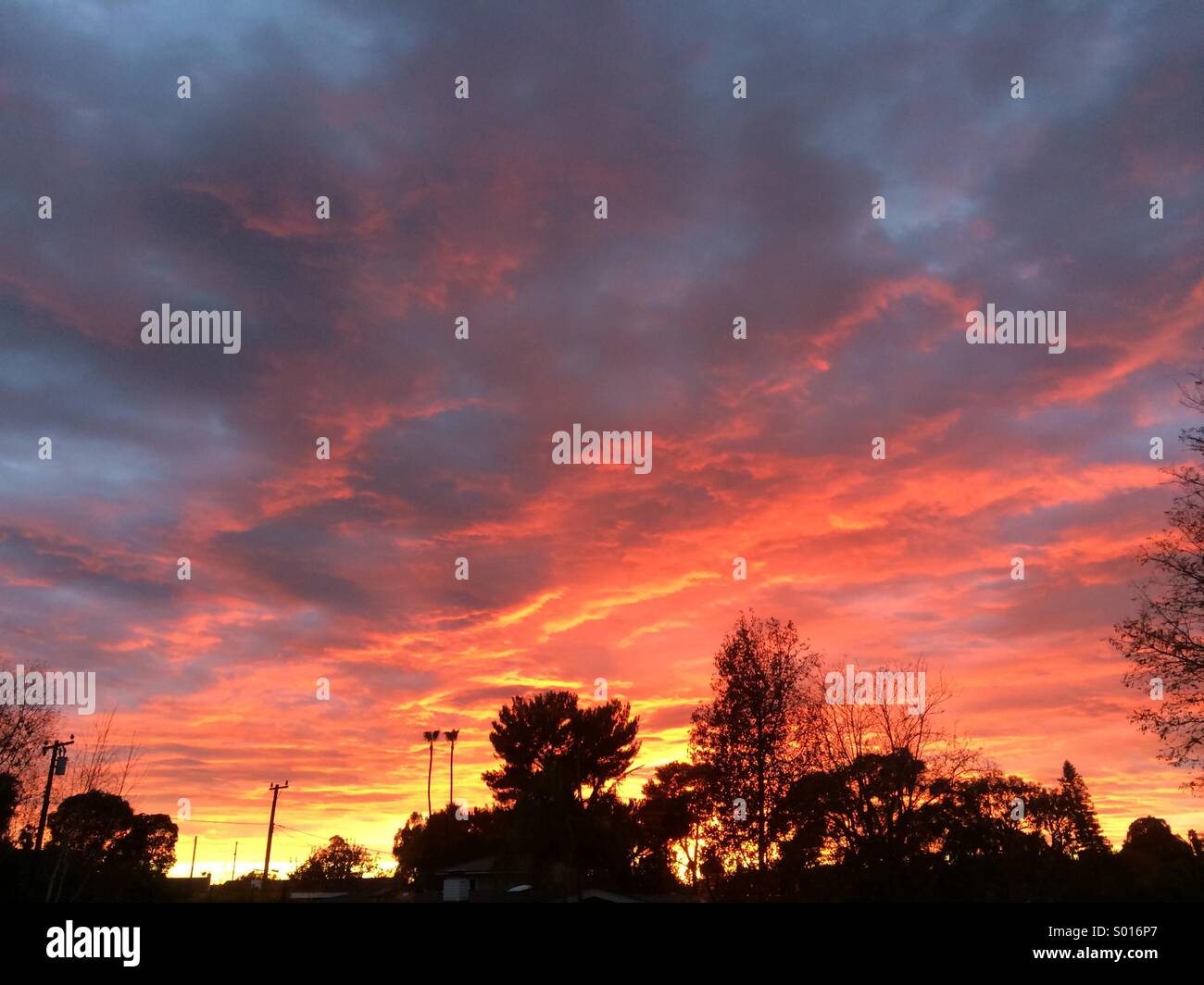 Fire sunset trees hi-res stock photography and images - Alamy