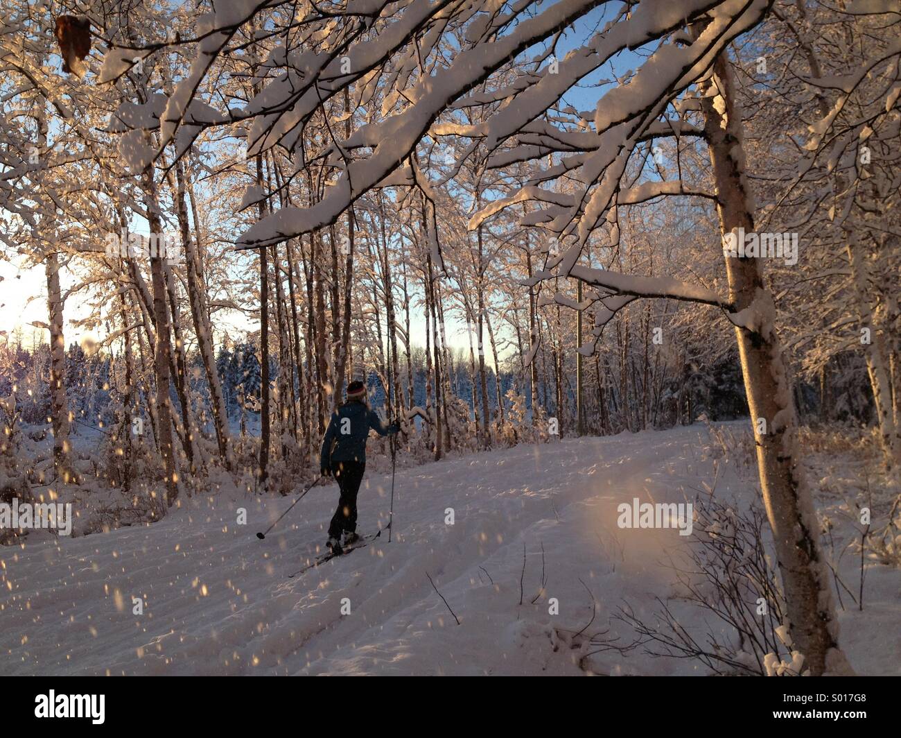 Chester creek hi-res stock photography and images - Alamy