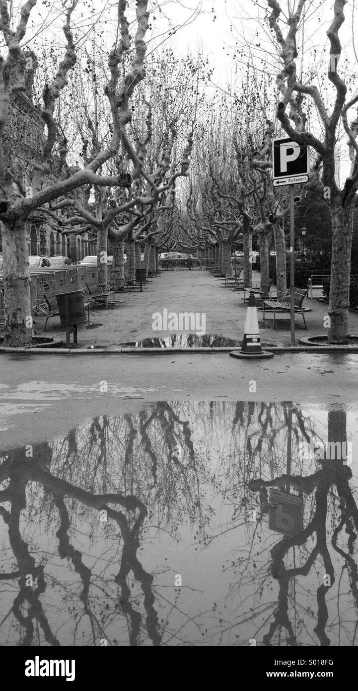Puddle with reflection Black and White Stock Photos & Images - Alamy