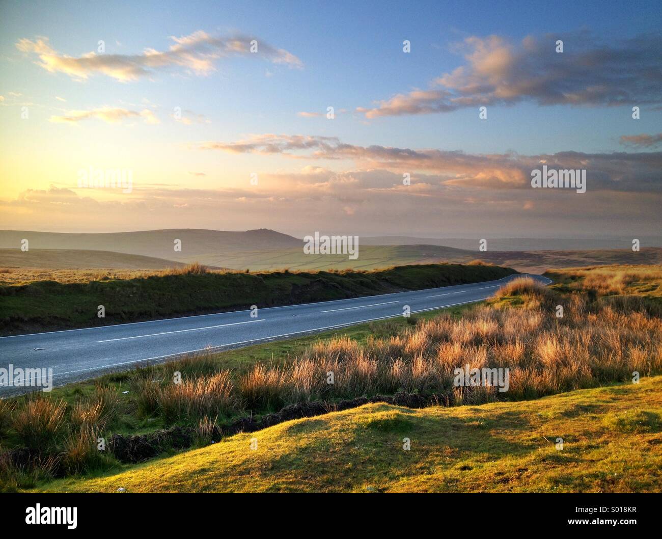 Rosebush wales hi-res stock photography and images - Alamy
