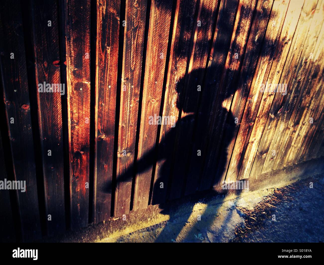 Boy shadow wall hi-res stock photography and images - Alamy