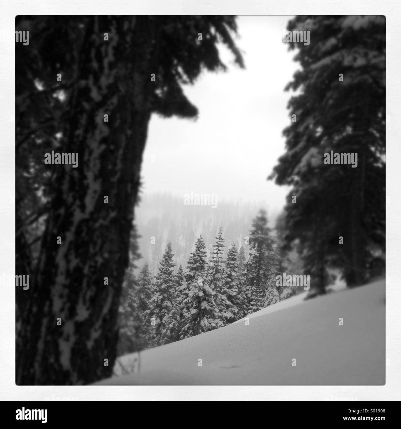 Sierra snowstorm hi-res stock photography and images - Alamy