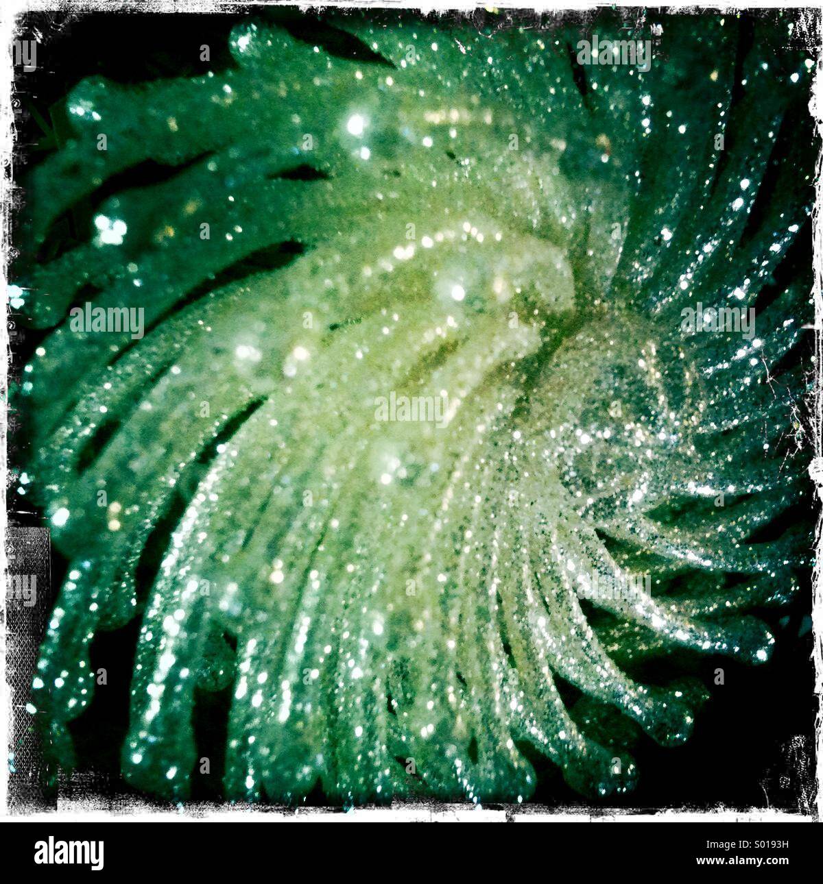 Whirl High Resolution Stock Photography and Images - Alamy