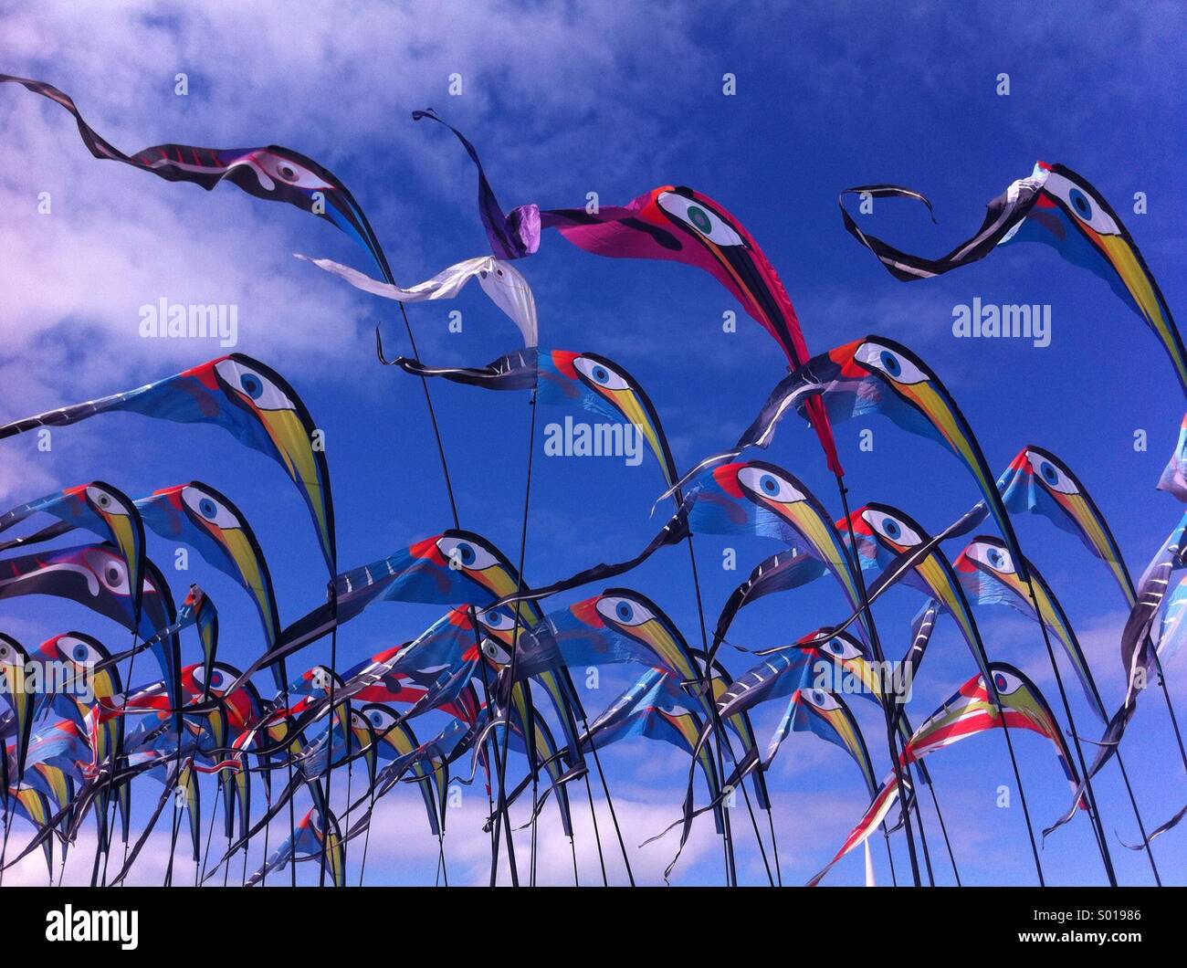 Flamingo kites hi-res stock photography and images - Alamy