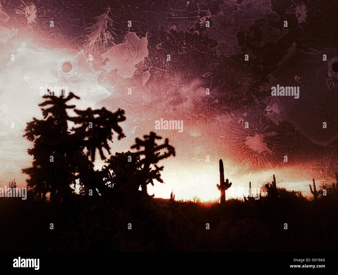 Rustic desert photo of the hot desert in Arizona. Maricopa County, USA ...