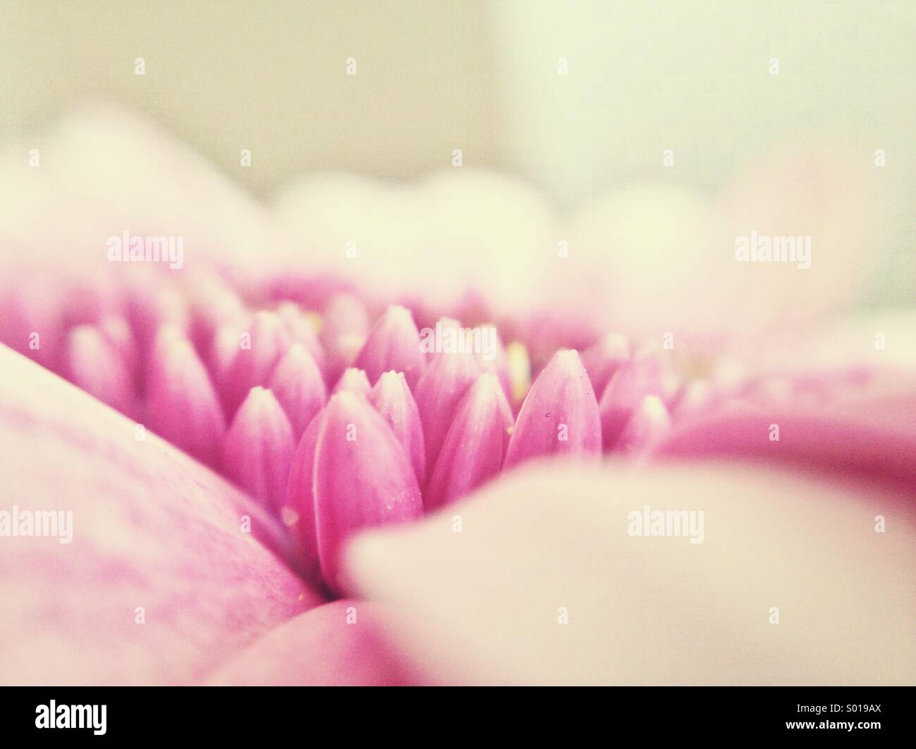 Stockimo photography hi-res stock photography and images - Alamy