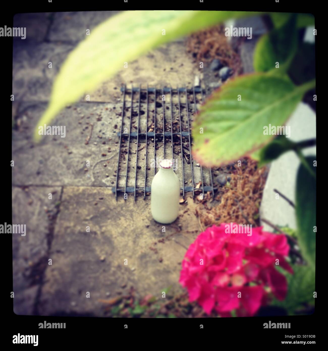 Milk delivered to home hi-res stock photography and images - Alamy