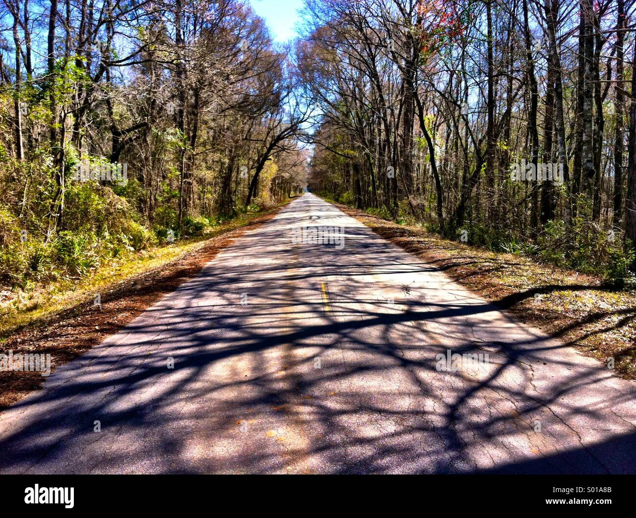 Forgotten country road hi-res stock photography and images - Alamy