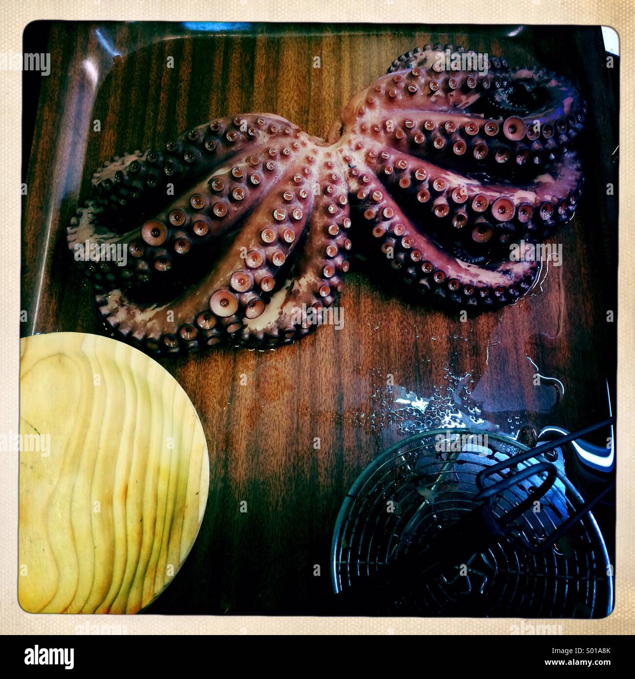 Boiled octopus hi-res stock photography and images - Alamy