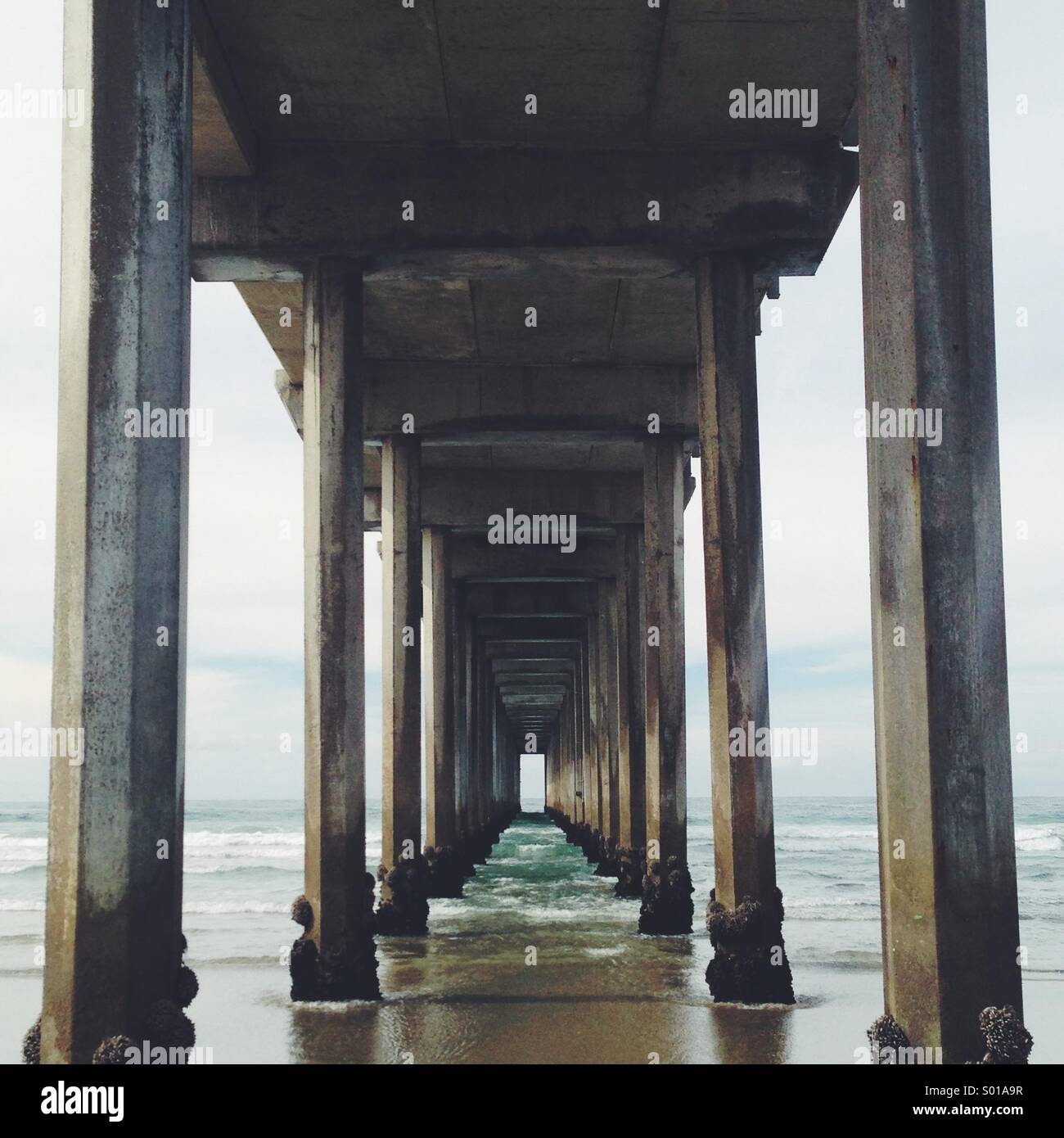 Look straight hi-res stock photography and images - Alamy