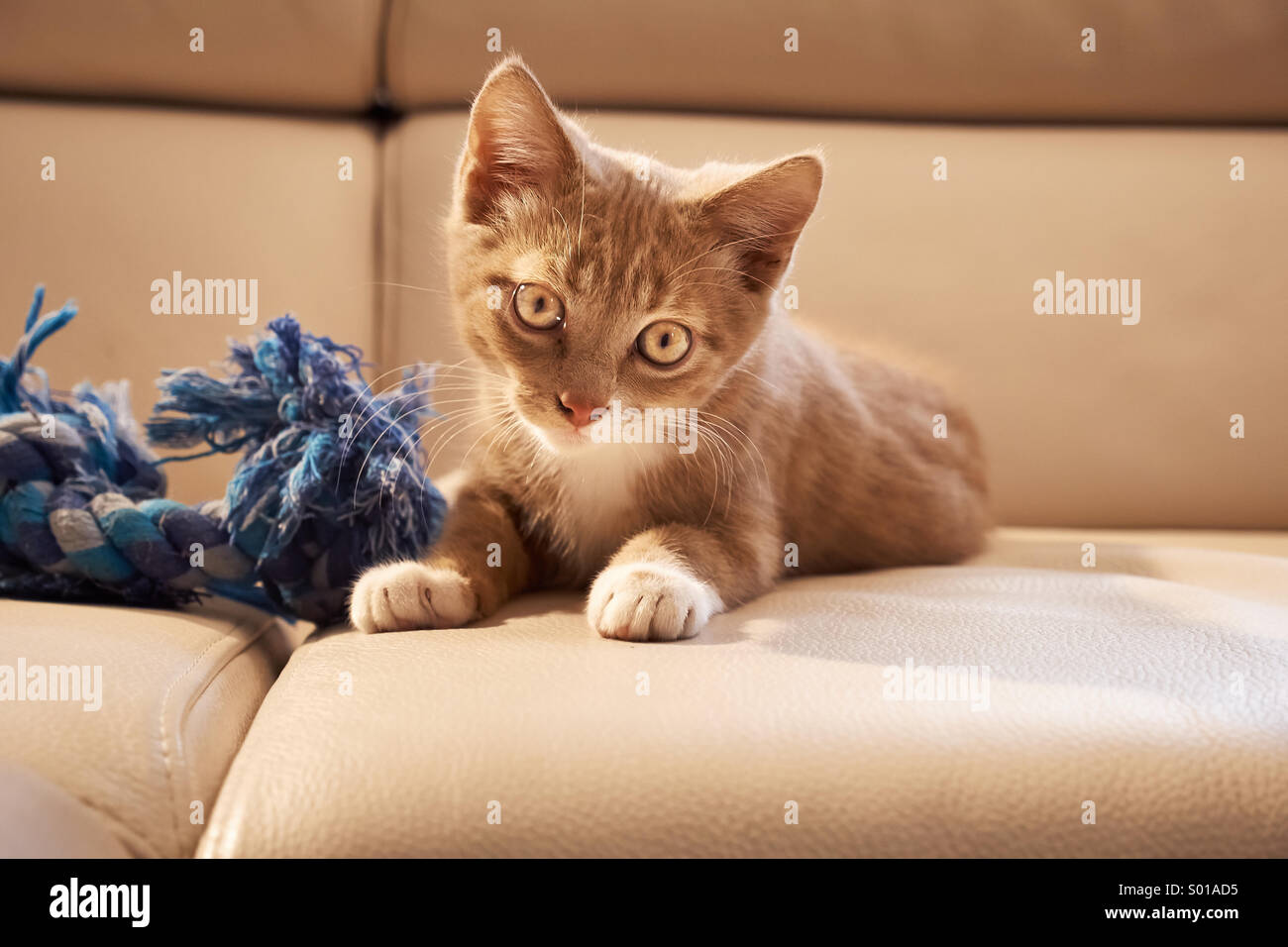 Beige couch hi-res stock photography and images - Alamy