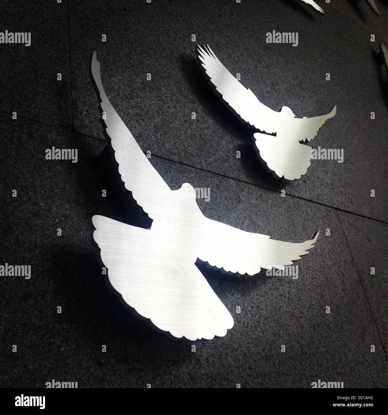 Flying of doves hi-res stock photography and images - Alamy