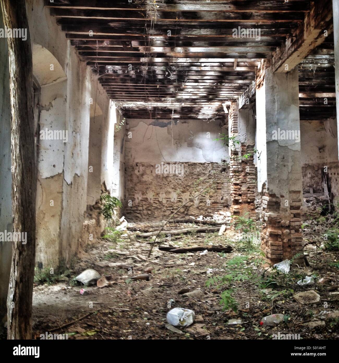 The gradual but inevitable return Stock Photo - Alamy