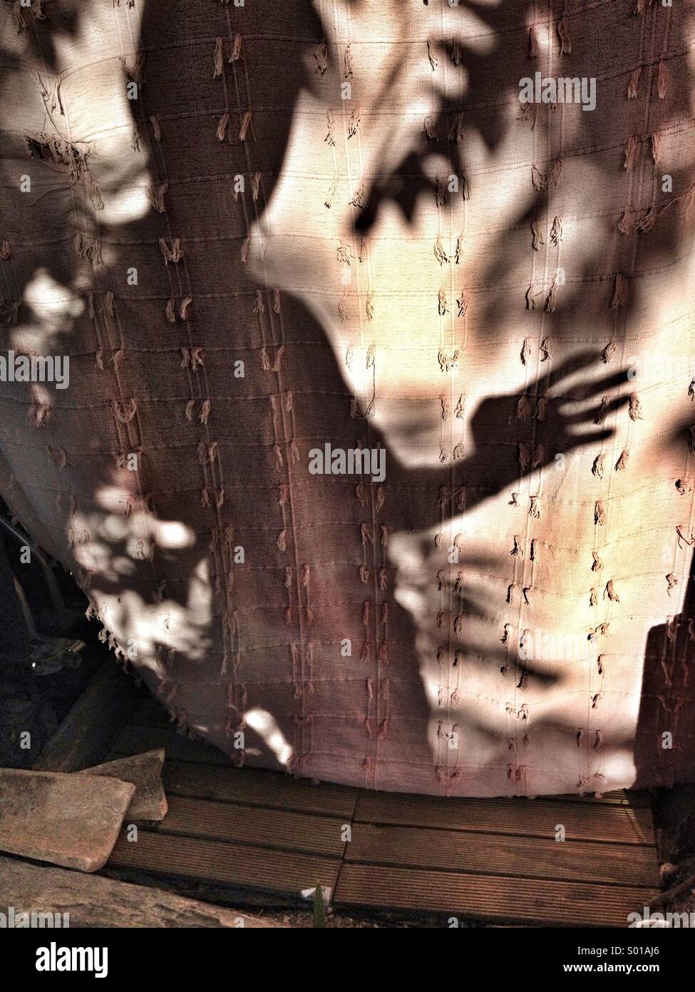 The elf shadow Stock Photo - Alamy