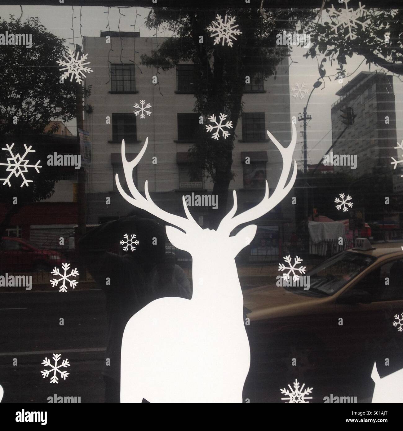 Building reflection in a window decorated with stickers of a deer and ...