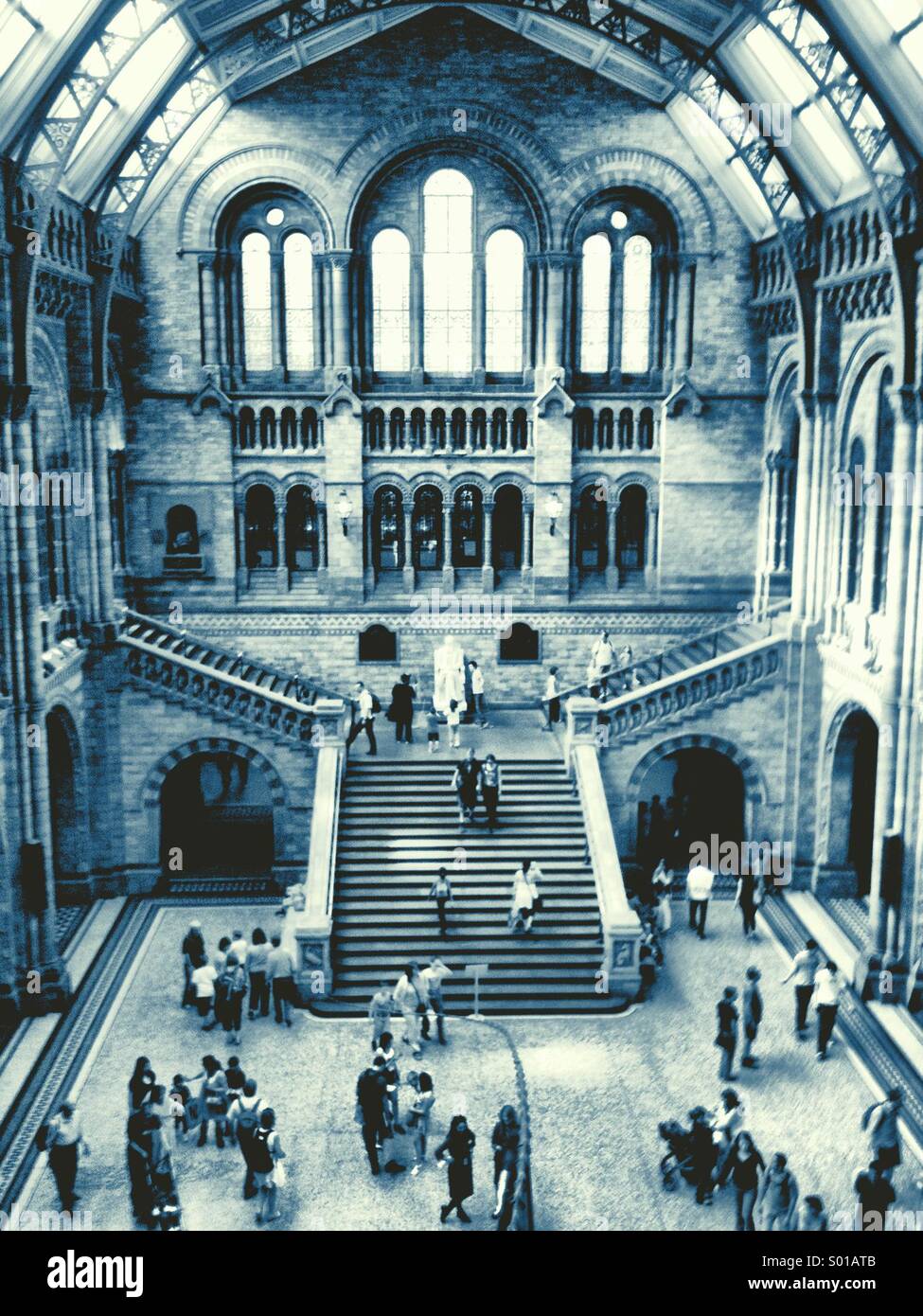 Natural history museum atrium Stock Photo - Alamy