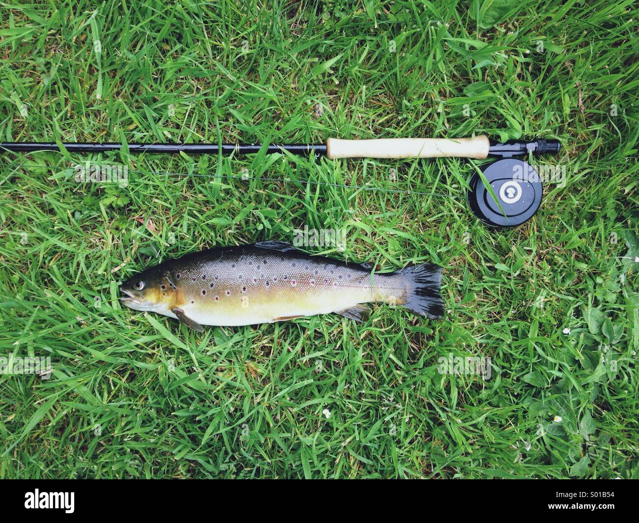 Brown rod hi-res stock photography and images - Alamy