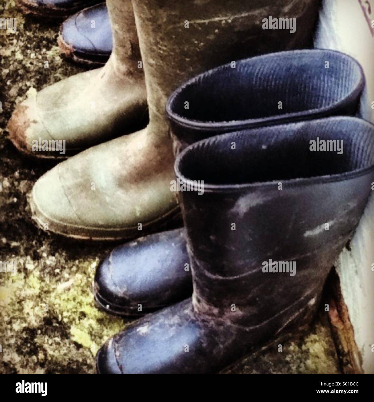 Wellie Walk High Resolution Stock Photography and Images - Alamy