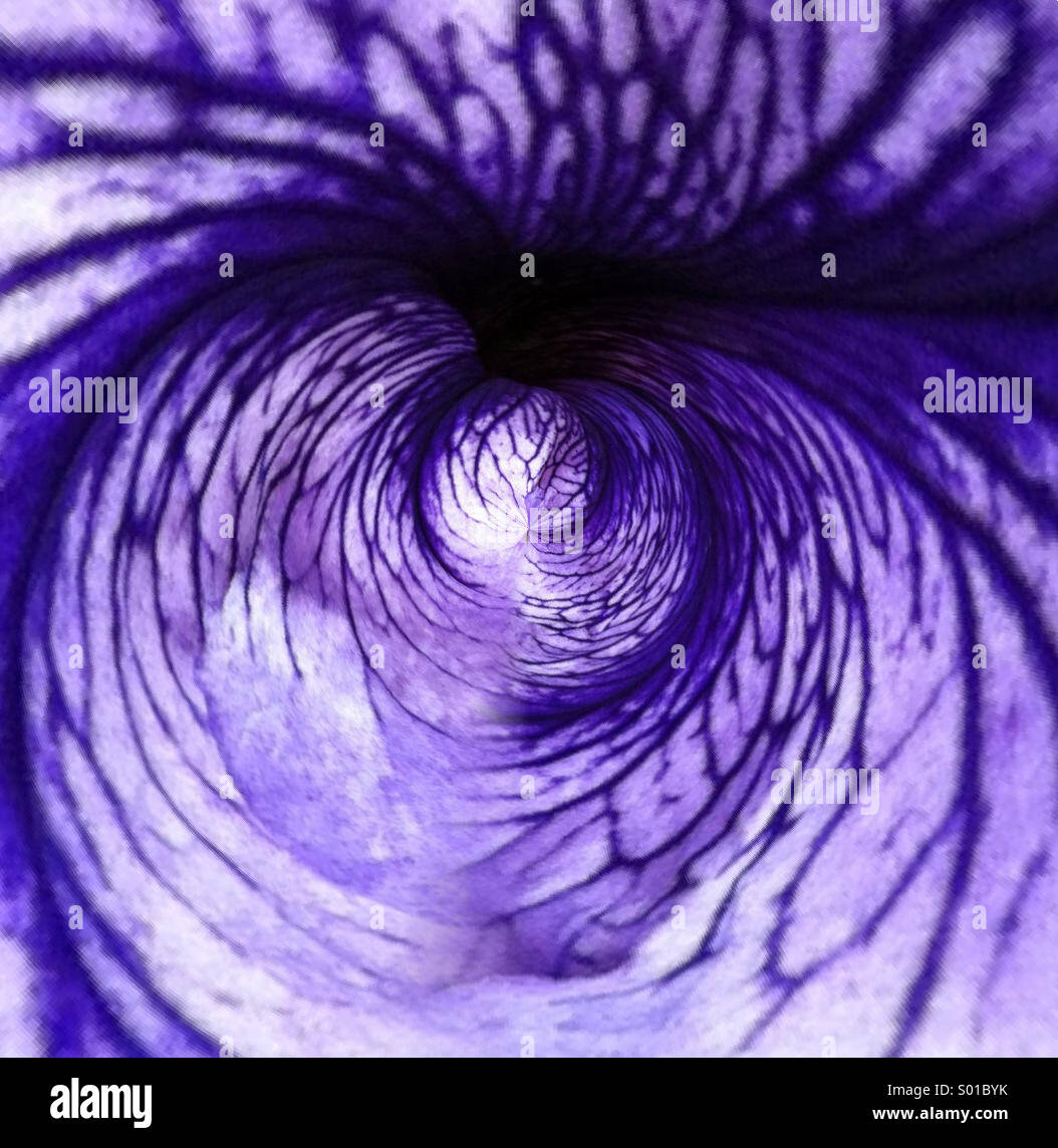 Flower swirled hi-res stock photography and images - Alamy