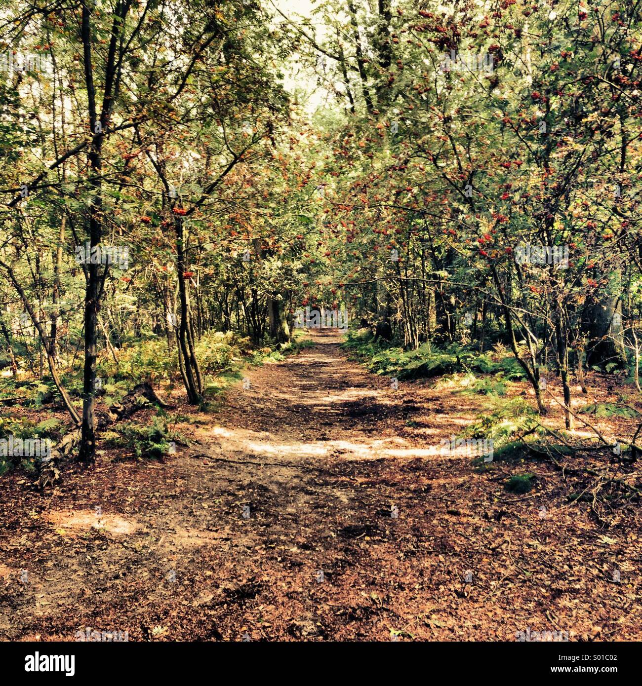 Nice wallpaper hi-res stock photography and images - Alamy