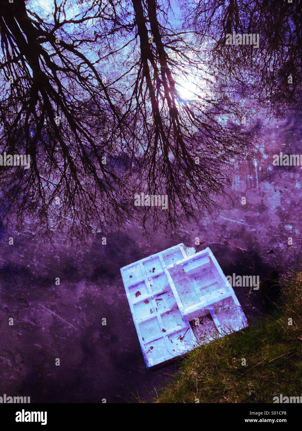 Polystyrene packing floating in canal Stock Photo - Alamy