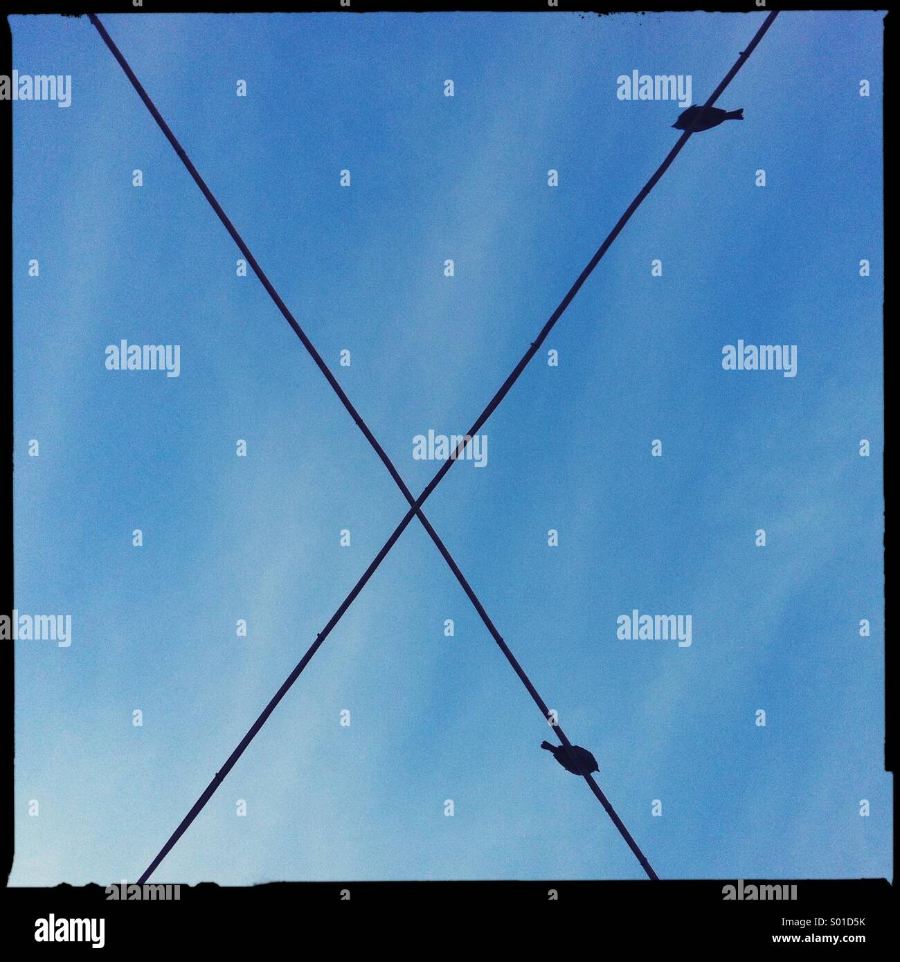 Cross Wires High Resolution Stock Photography and Images - Alamy