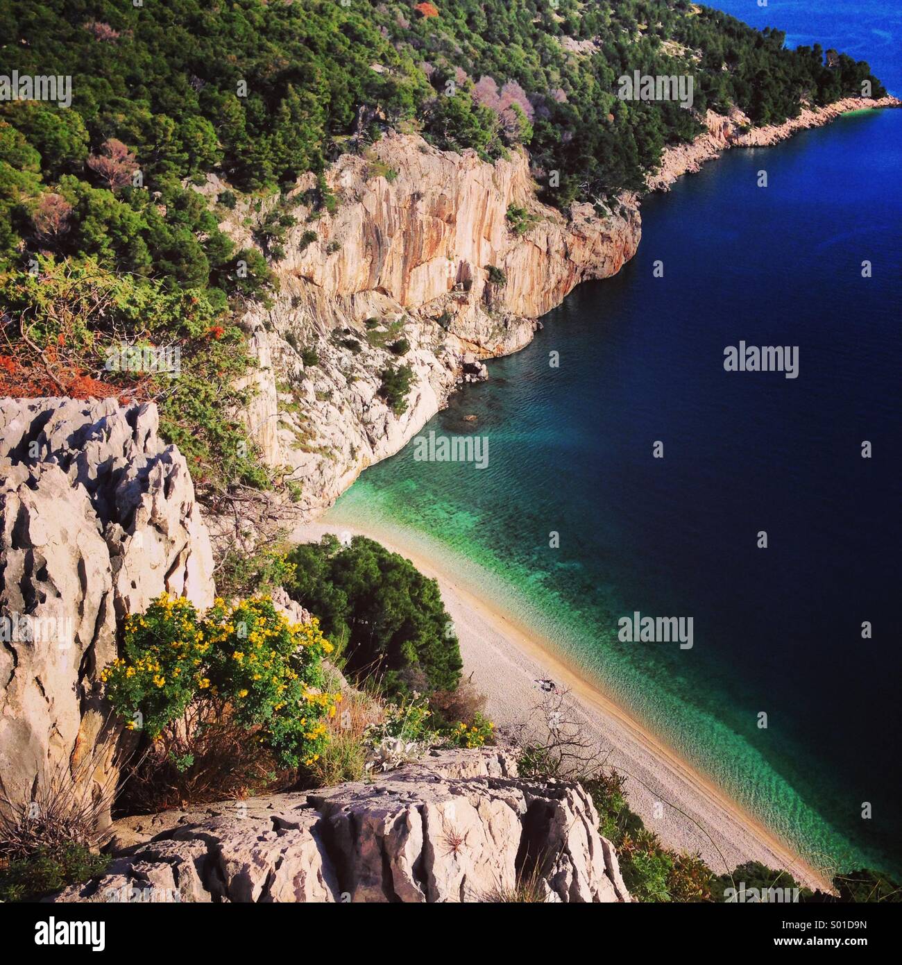 Hidden flowers hi-res stock photography and images - Alamy