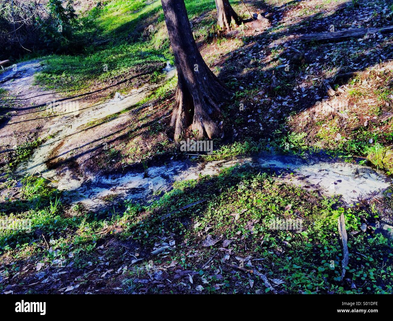 Palatka florida hi-res stock photography and images - Alamy