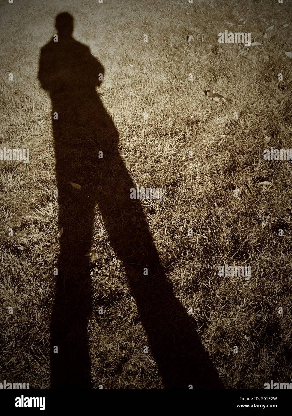 Human shadow on ground hi-res stock photography and images - Alamy