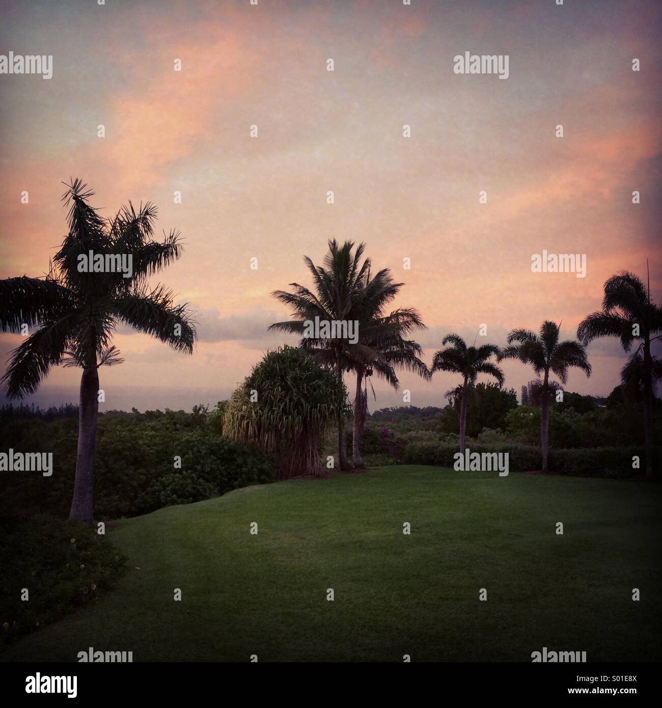 Tropical dusk hi-res stock photography and images - Alamy