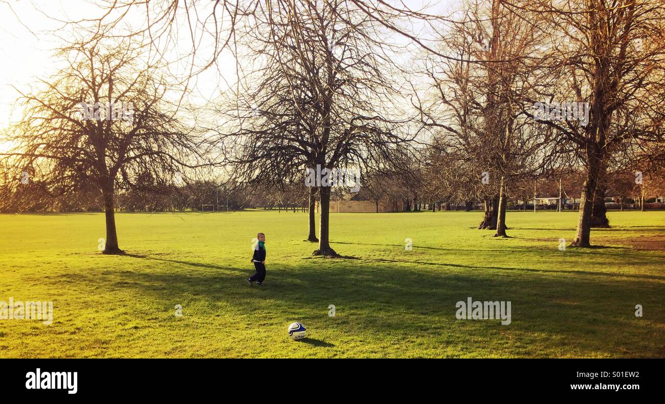 Football in a tree hi-res stock photography and images - Alamy
