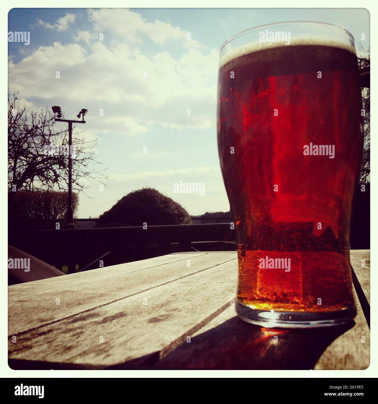 A pint of ale in a beer garden Stock Photo - Alamy