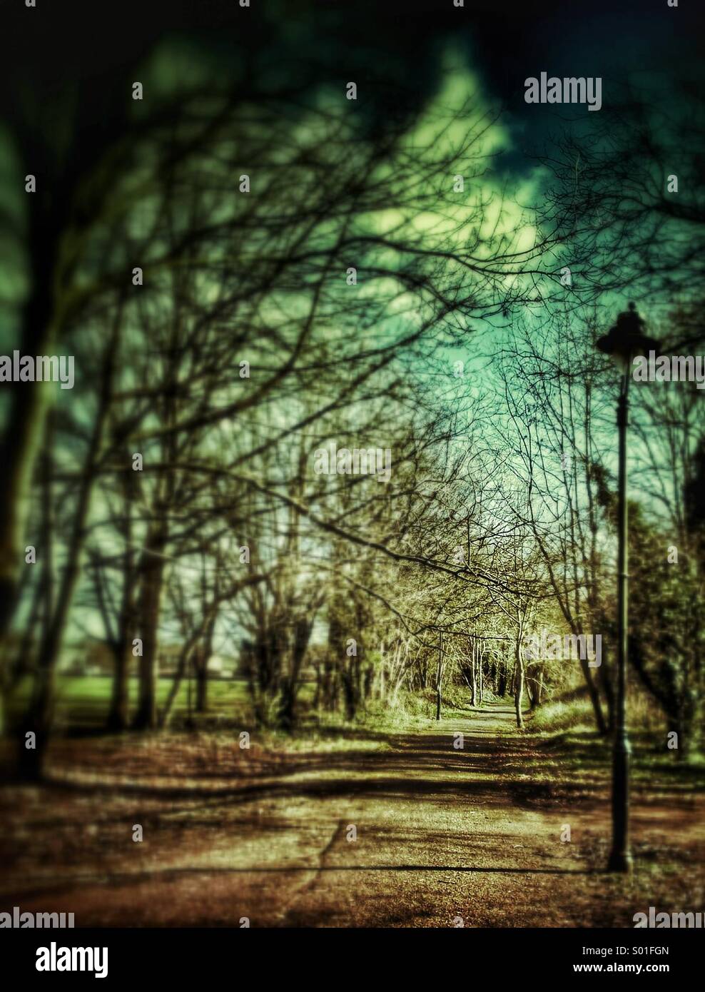 Foot paths hi-res stock photography and images - Alamy