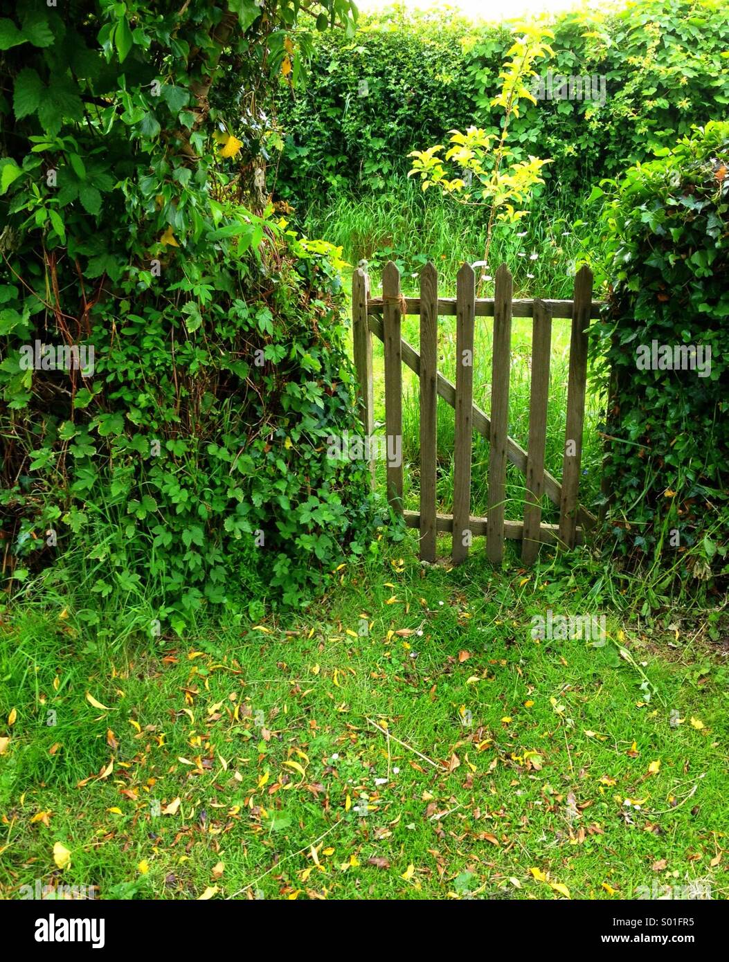 Wicket gate hi-res stock photography and images - Alamy