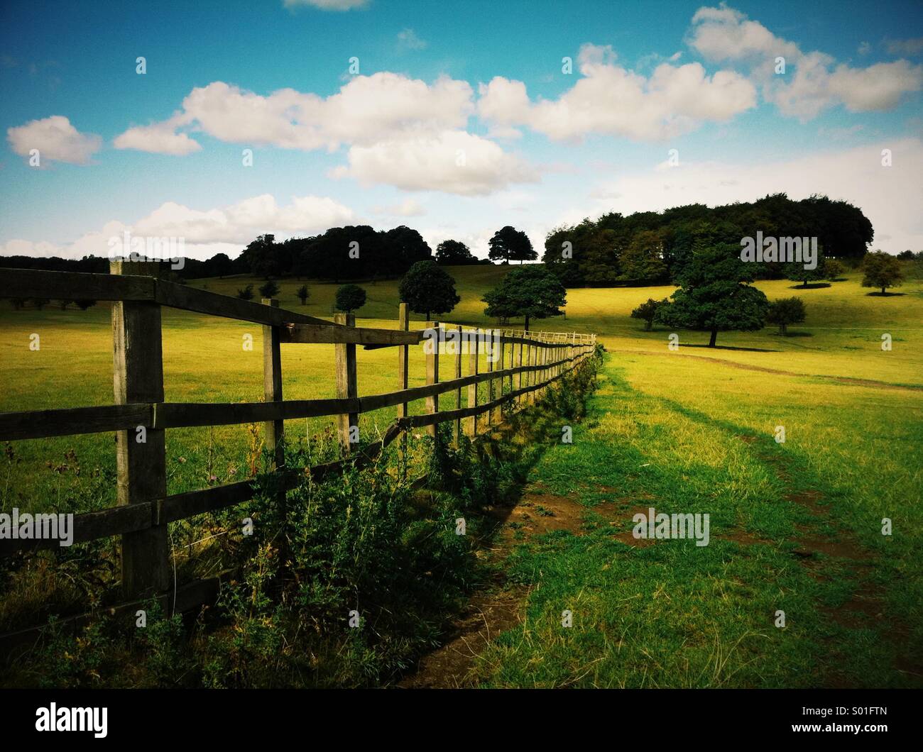 English field fence hi-res stock photography and images - Alamy