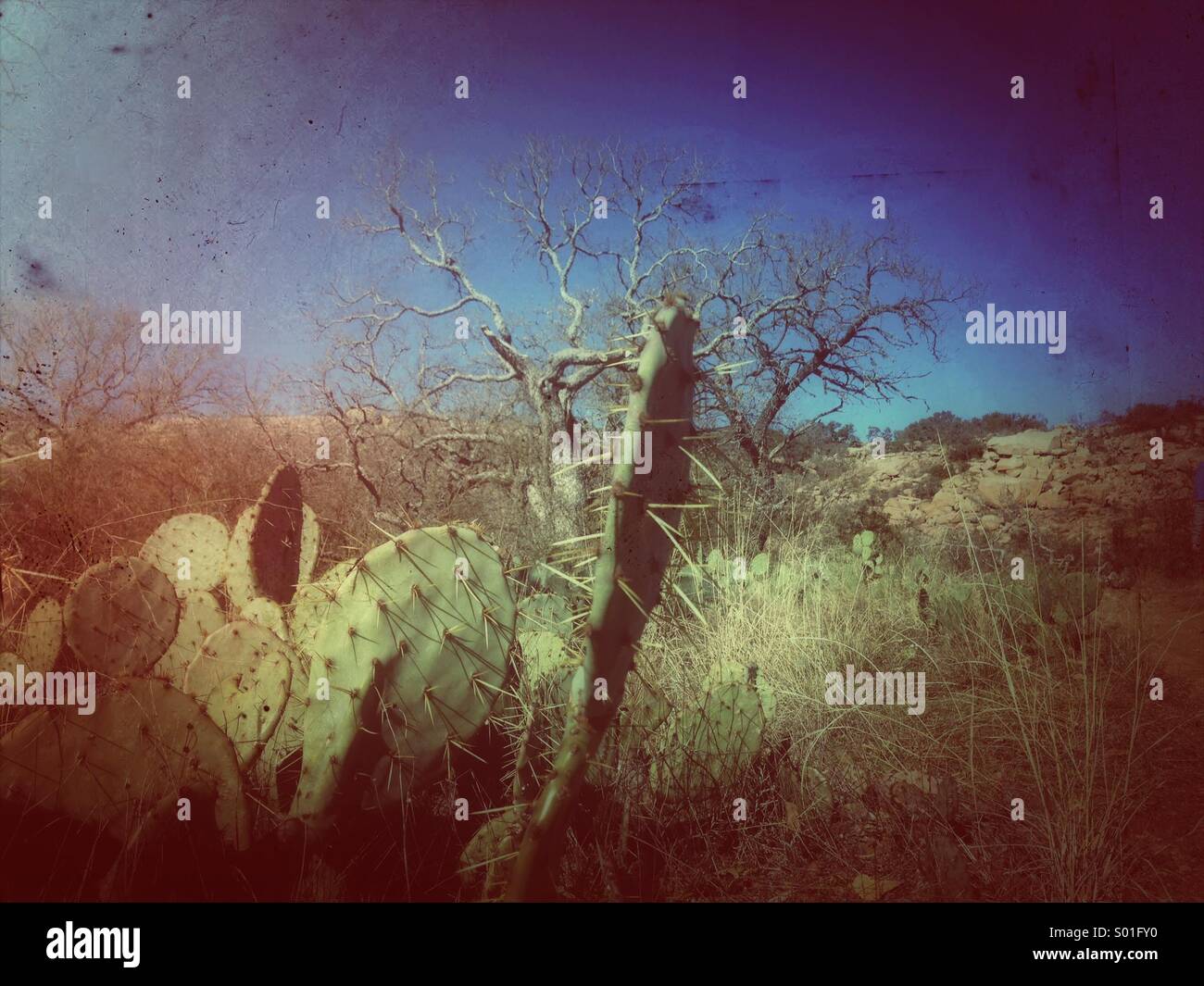 Texas Scene High Resolution Stock Photography and Images - Alamy