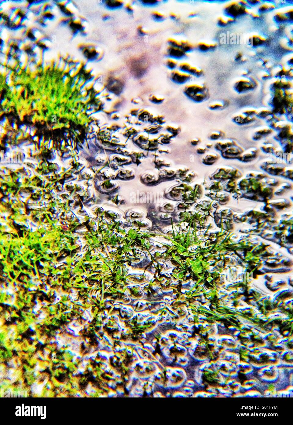 Mud puddle texture hi-res stock photography and images - Alamy
