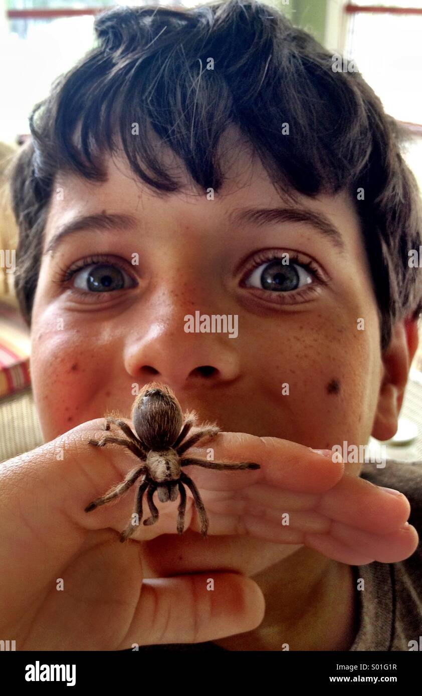 A young boy seen playing with a tarantula spider Stock Photo - Alamy