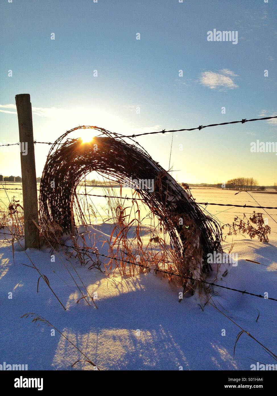 Fence barbed wire sunset hi-res stock photography and images - Alamy