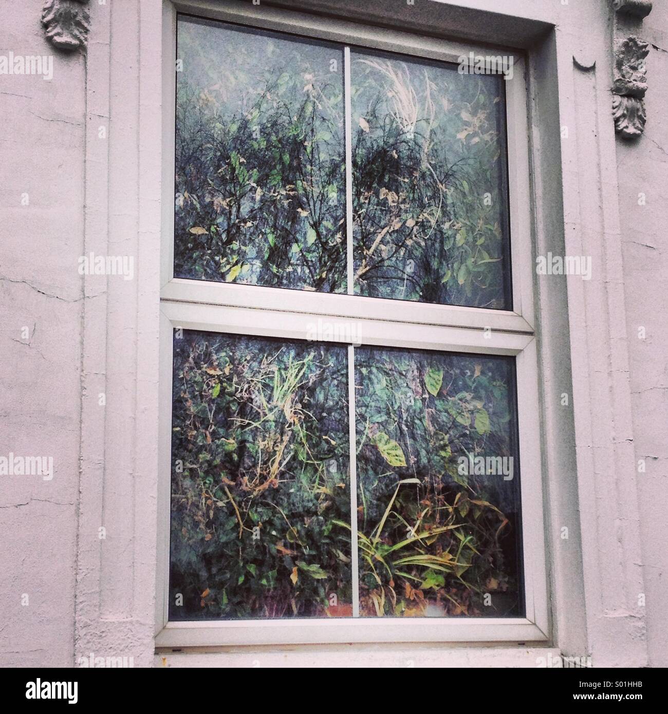 Window barriers hi-res stock photography and images - Alamy