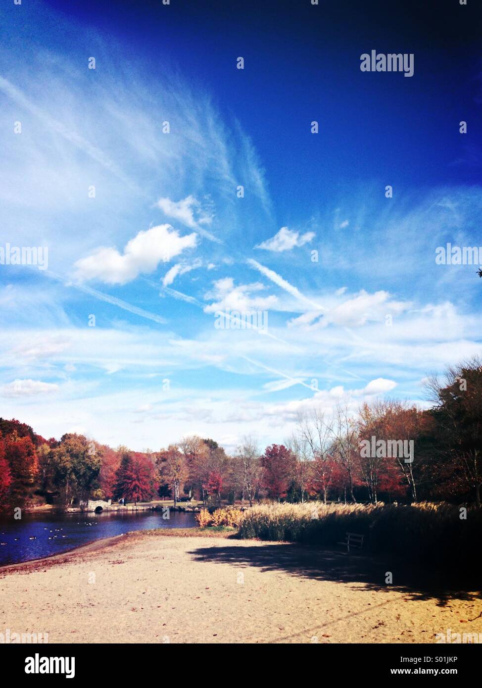 Fall lake view Stock Photo - Alamy