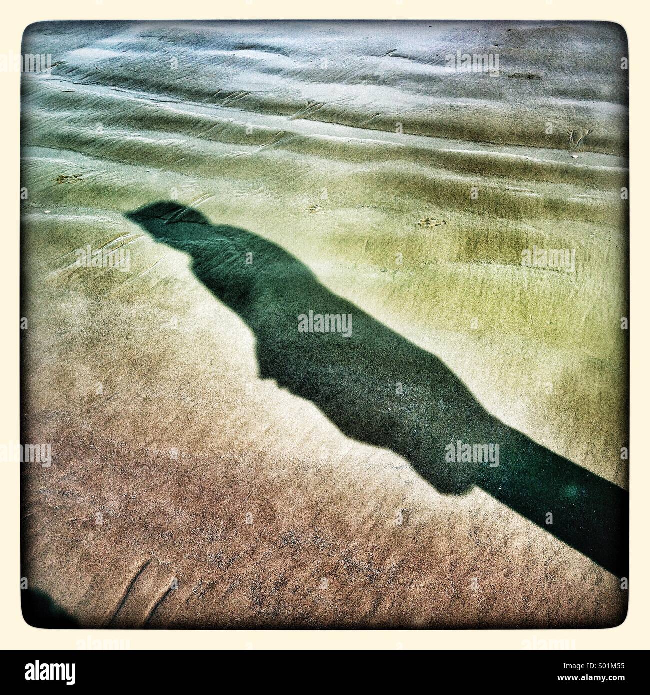 Shadow on sand Stock Photo - Alamy