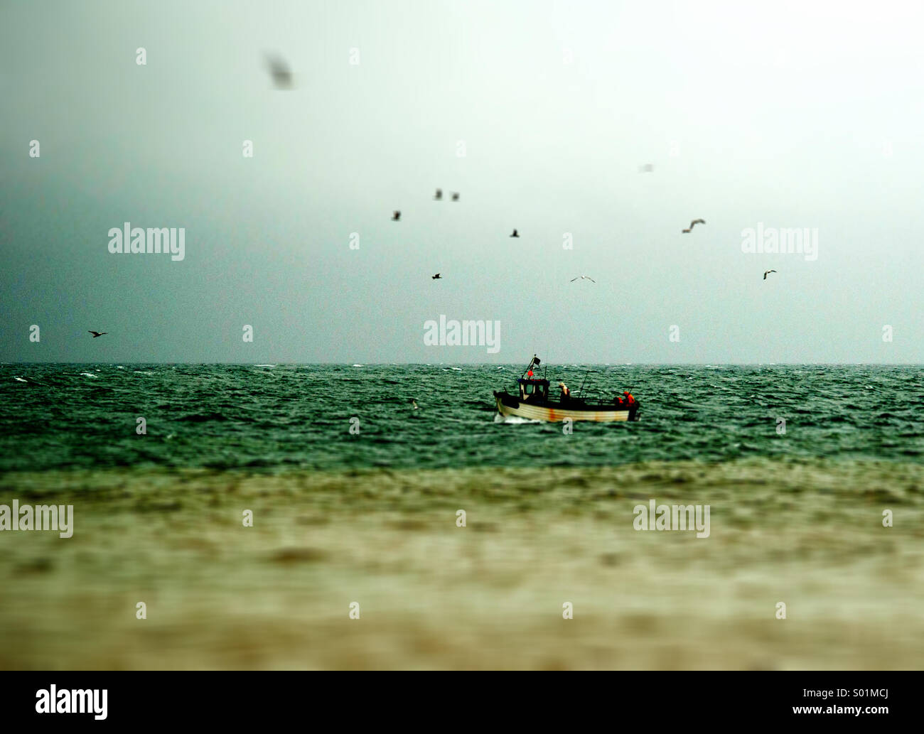 Fishing Boat Out To Sea With Seagulls Stock Photo Alamy fishing-boat-out-to-sea-with-seagulls-stock-photo-alamy