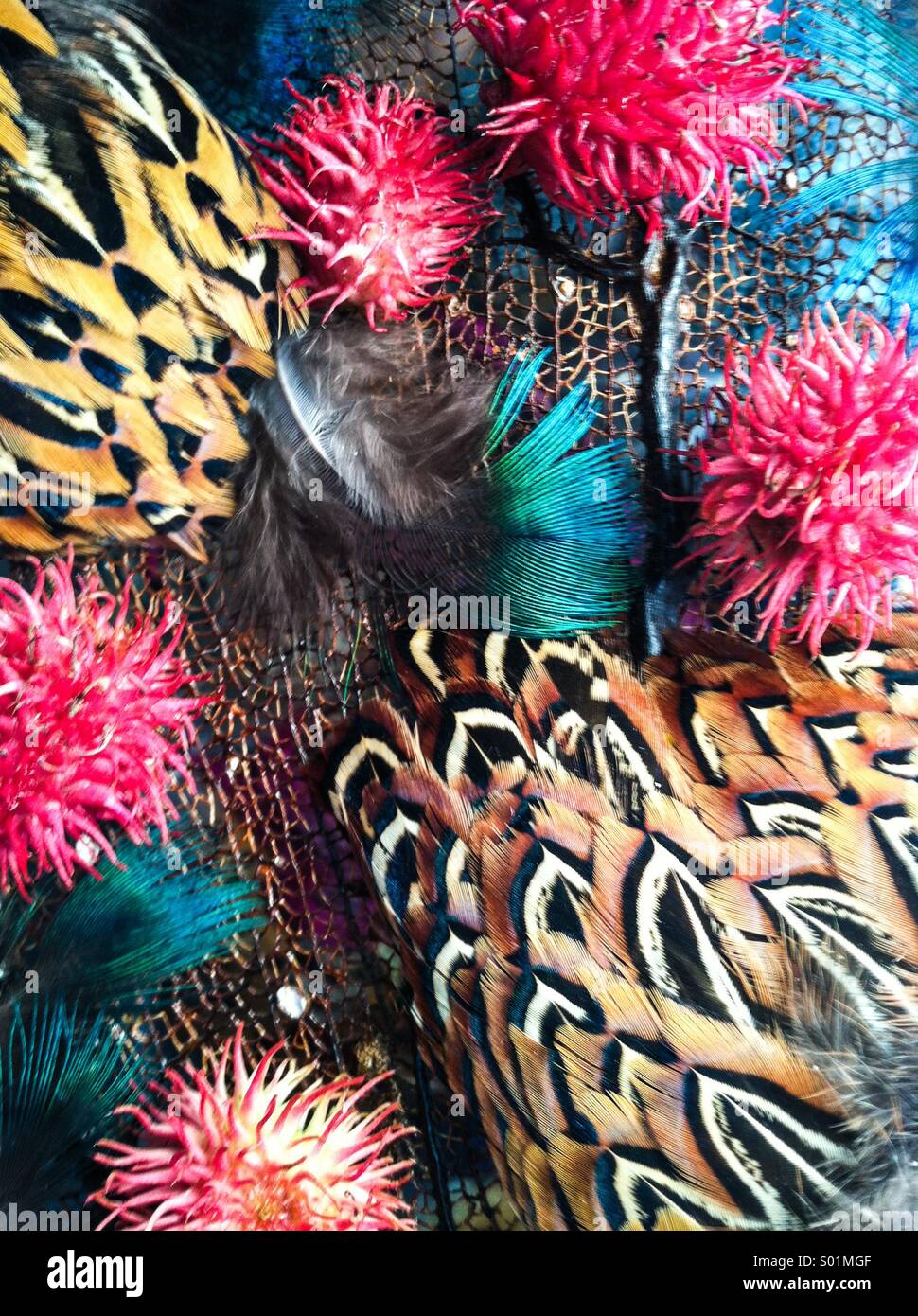 Feathers & flowers Stock Photo - Alamy