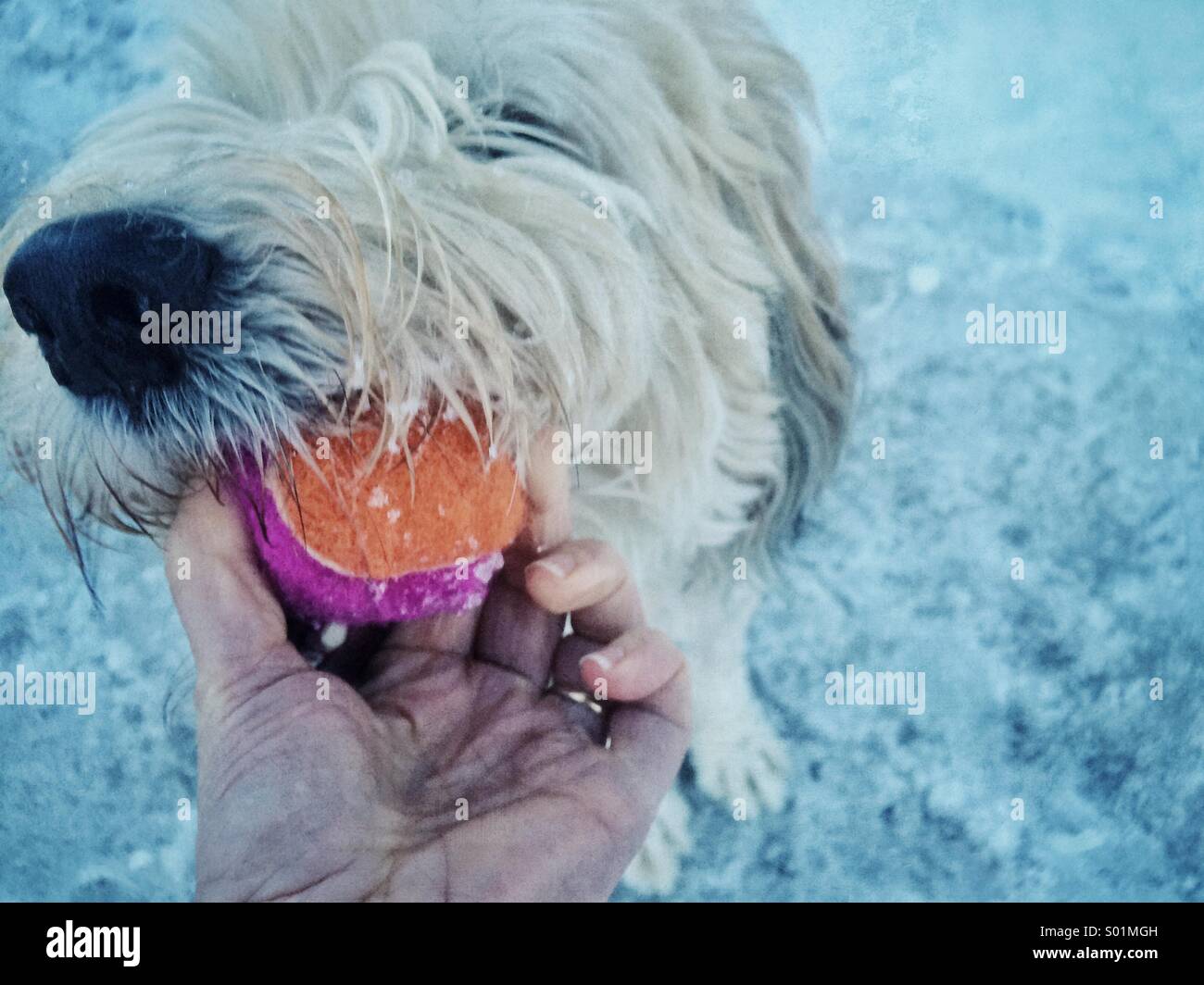 Give play hi-res stock photography and images - Alamy