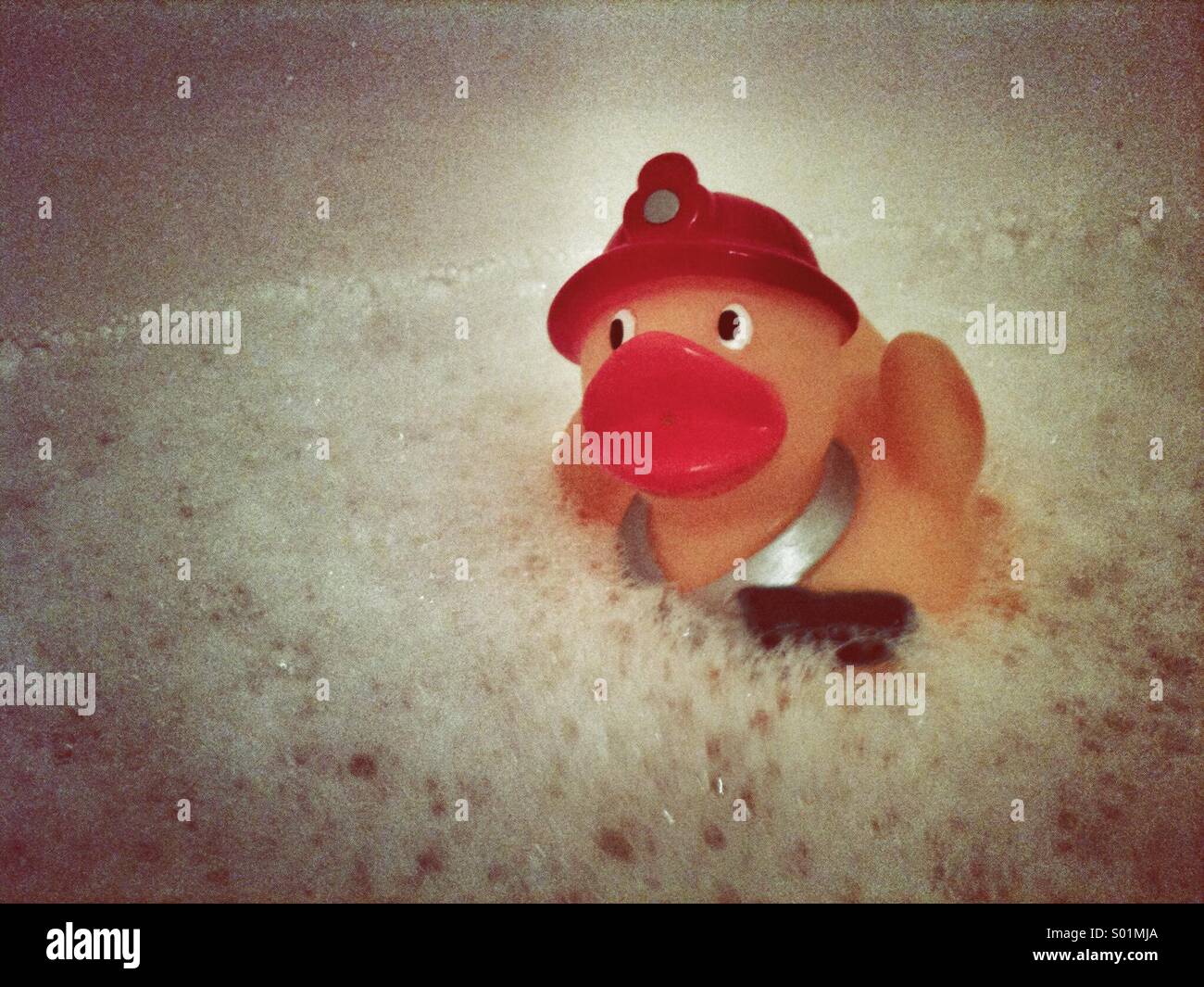 Rubber duckie in soapy water Stock Photo - Alamy