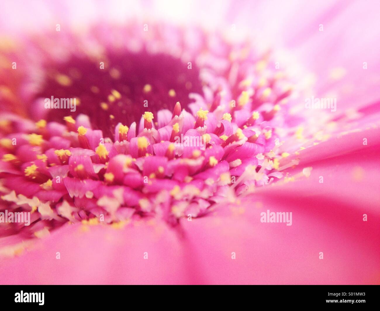 More of me Stock Photo - Alamy