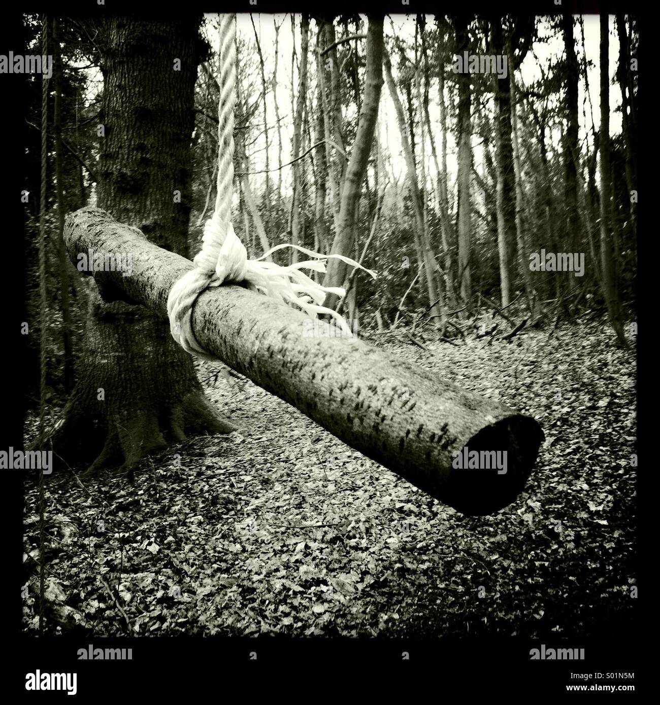 Rope and stick hi-res stock photography and images - Alamy