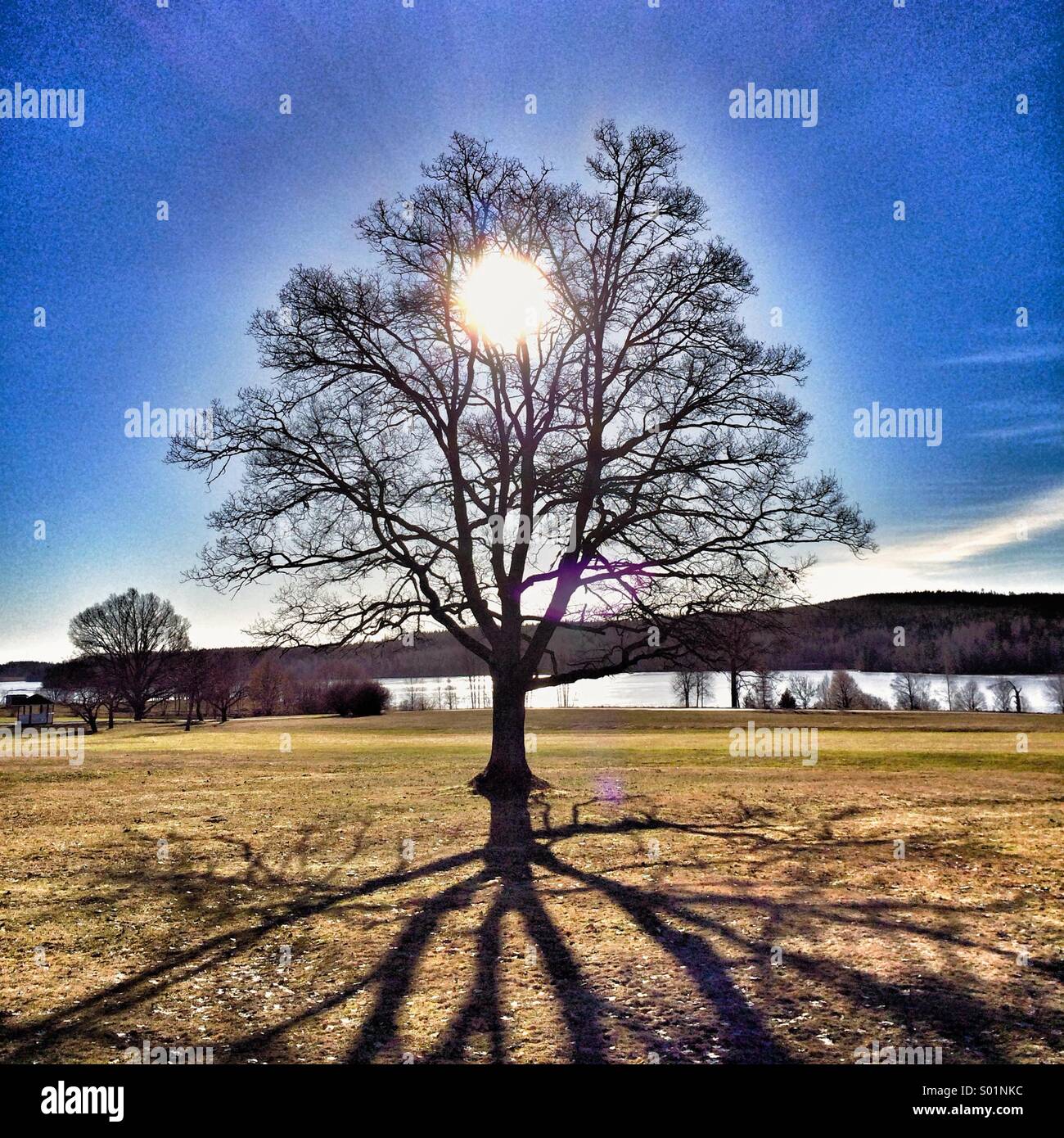 Welcome the sun hi-res stock photography and images - Alamy